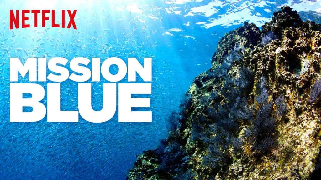 Le Top des documentaires natures à voir absolument sur Netflix et Disney+